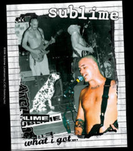 Sublime Vinyl Sticker Collage Logo – Rock Band Patches